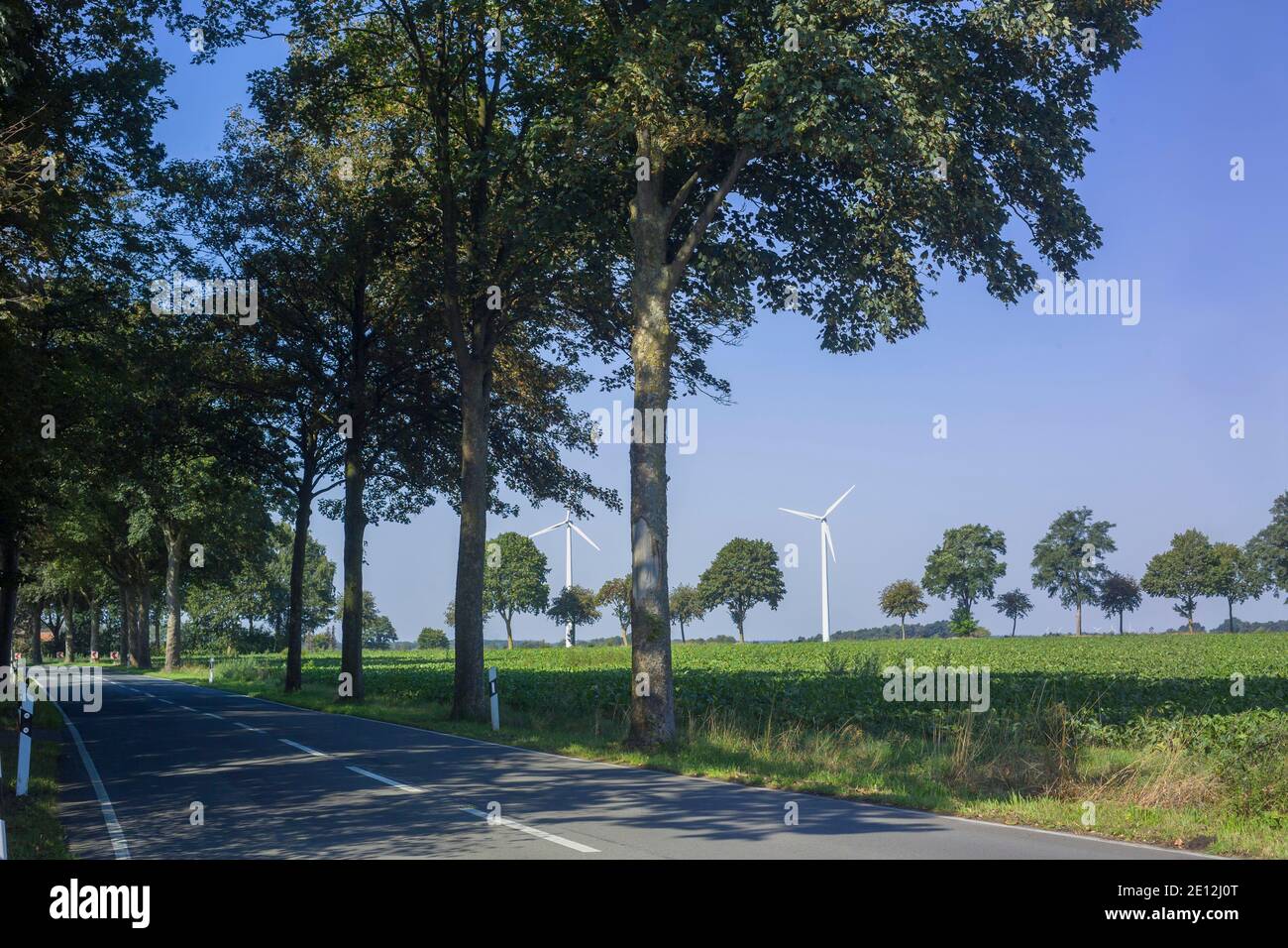 Stir wind hi-res stock photography and images - Alamy