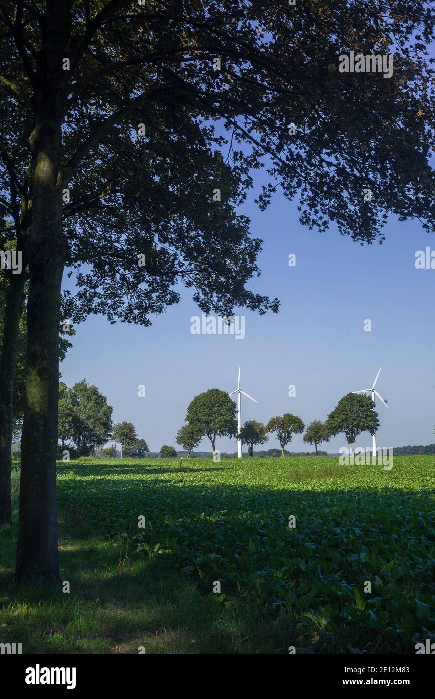 Stir wind hi-res stock photography and images - Alamy