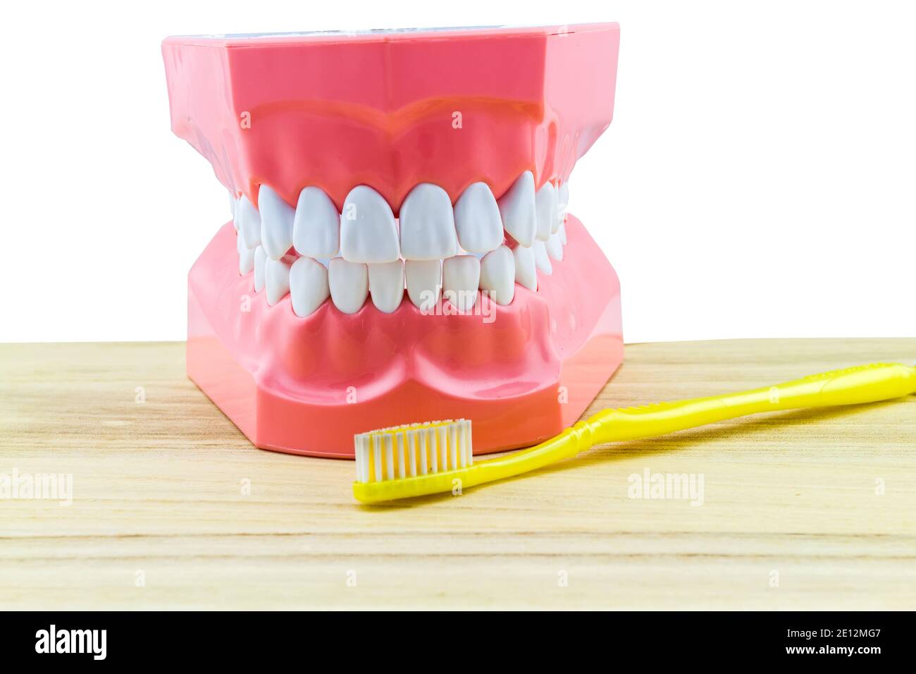 Big tooth model and toothbrush on wooden isolated on white background ...