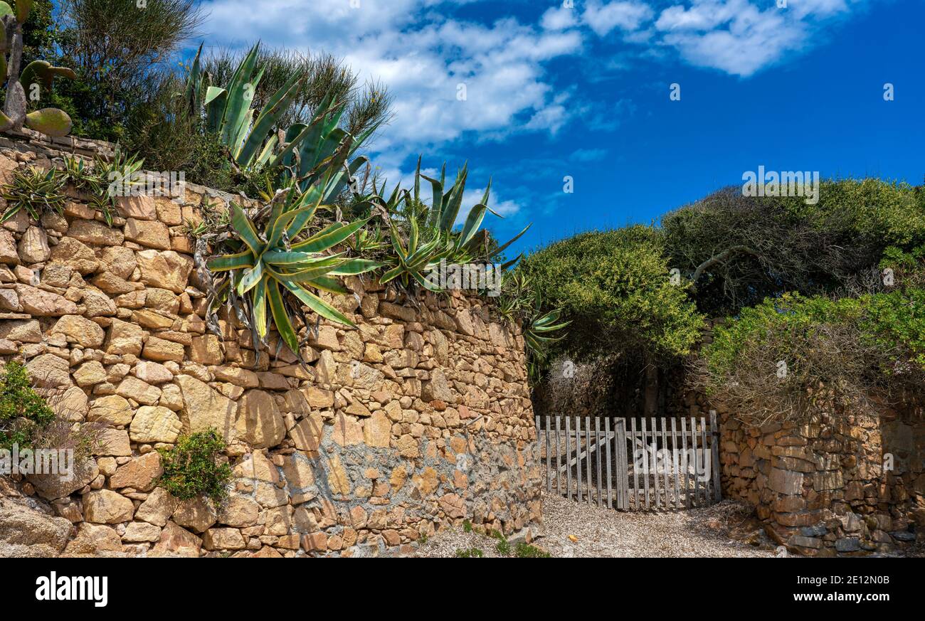 Terrain Wall Of Rock, Sardinia, Italy Stock Photo - Alamy