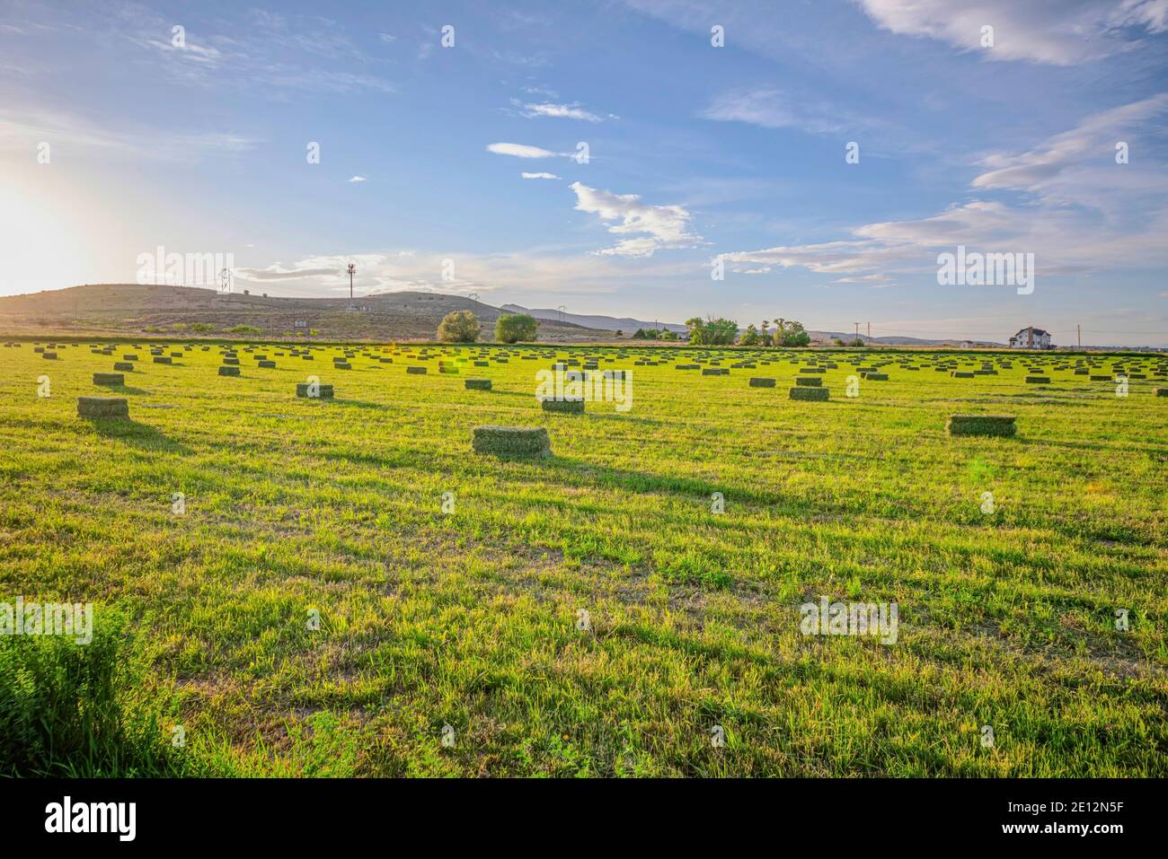 Utah Valley agricultural landscape of farmland with vibrant green ...