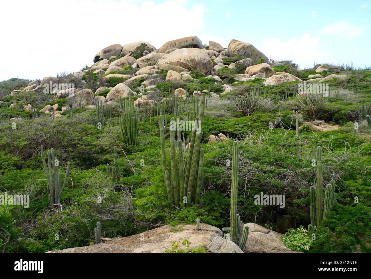 The view of tropical plants, cactus and large stones at Ayo Rock ...