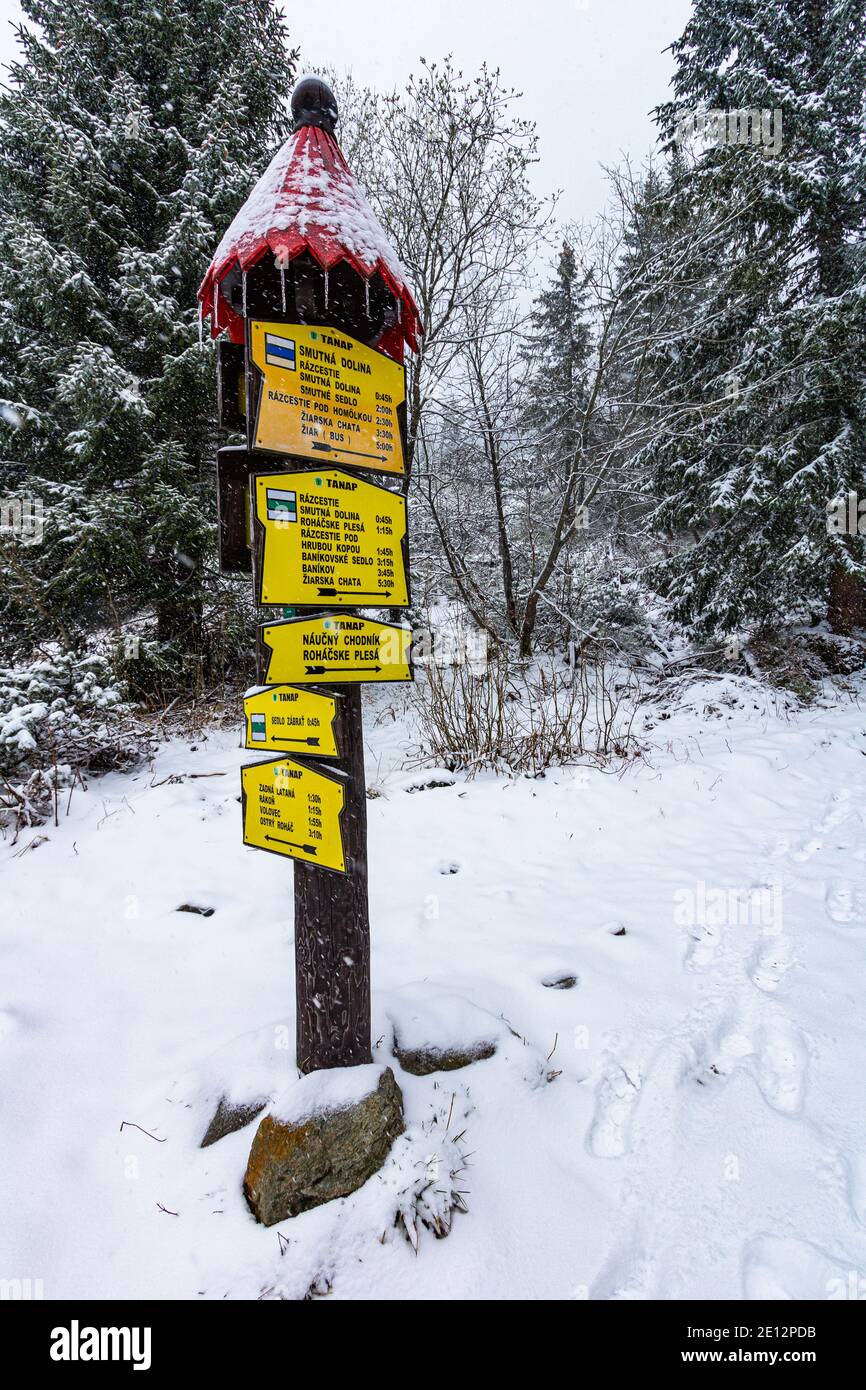 Directional sign tree hi-res stock photography and images - Alamy
