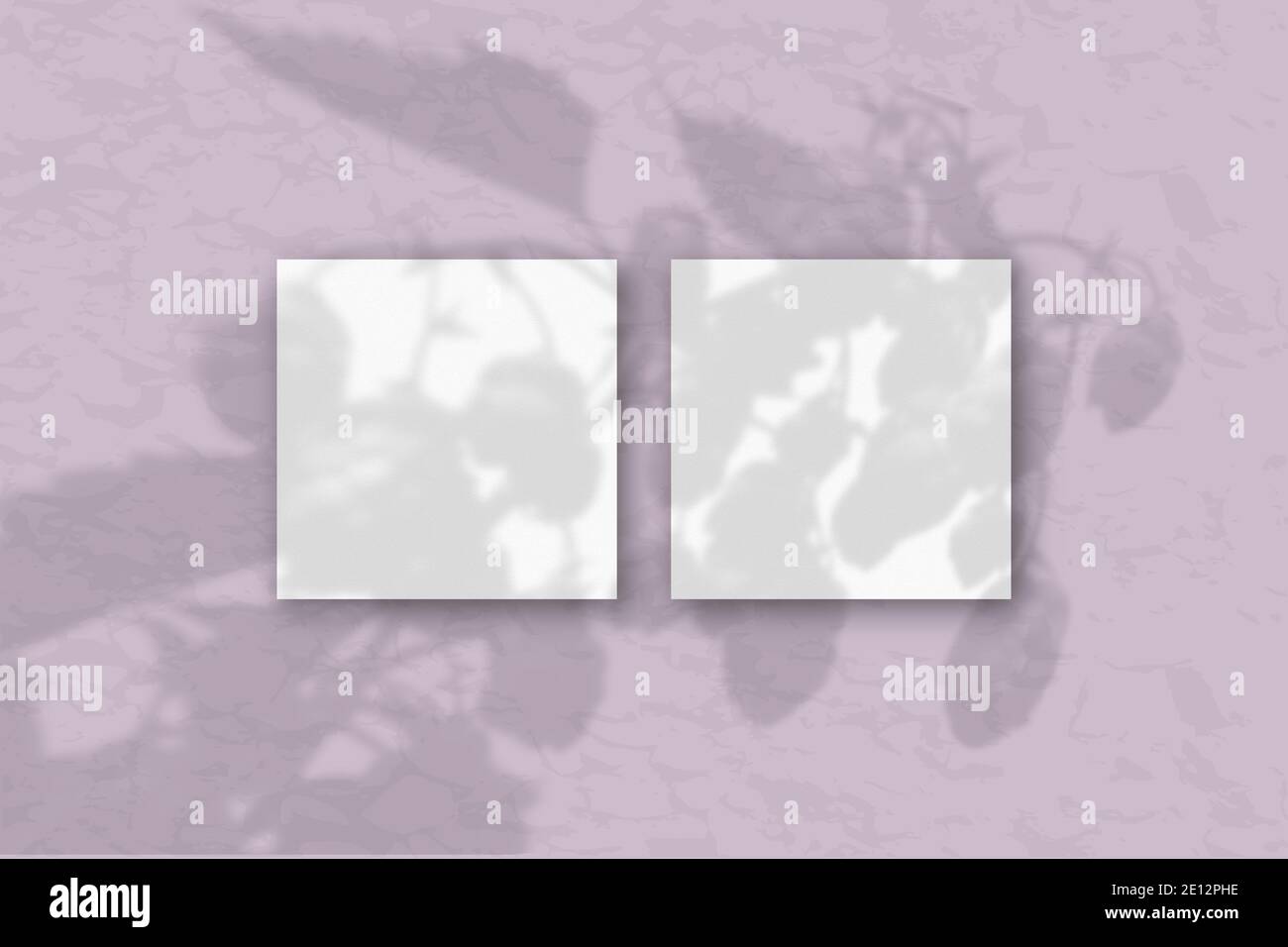 2 square sheets of white textured paper on a pastel lilac wall. Mockup ...