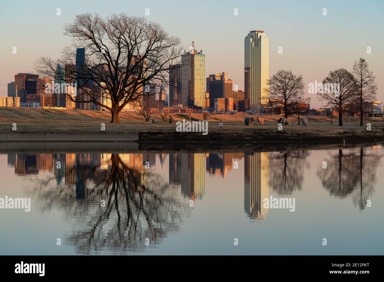 Dallas skyline 2021 hi-res stock photography and images - Alamy