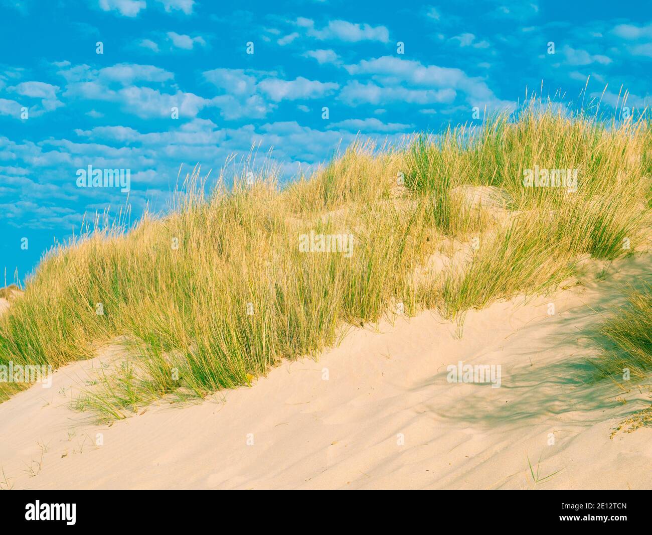 Dune With Beach Grass Stock Photo - Alamy