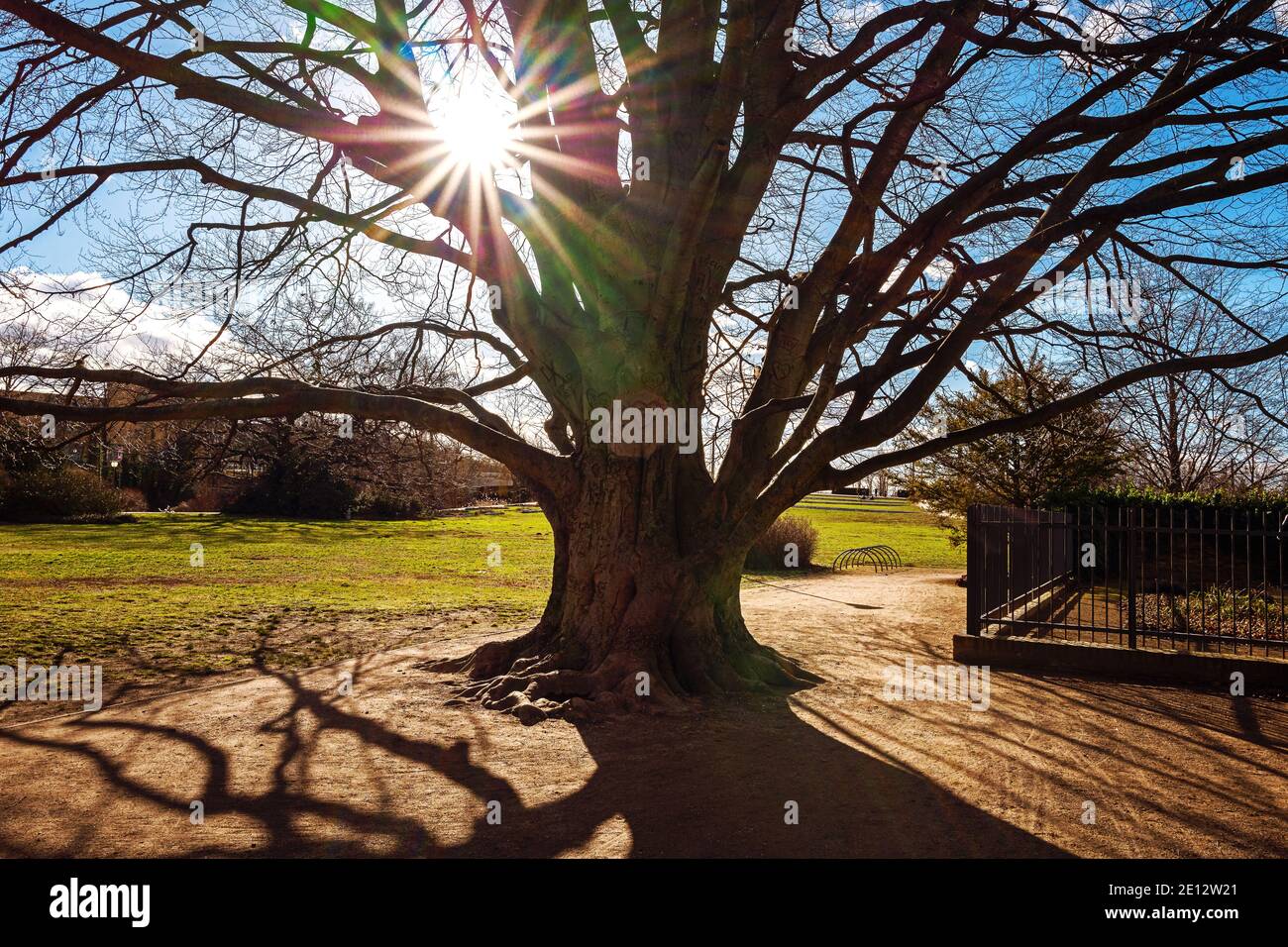 Sun At Spring Stock Photo - Alamy
