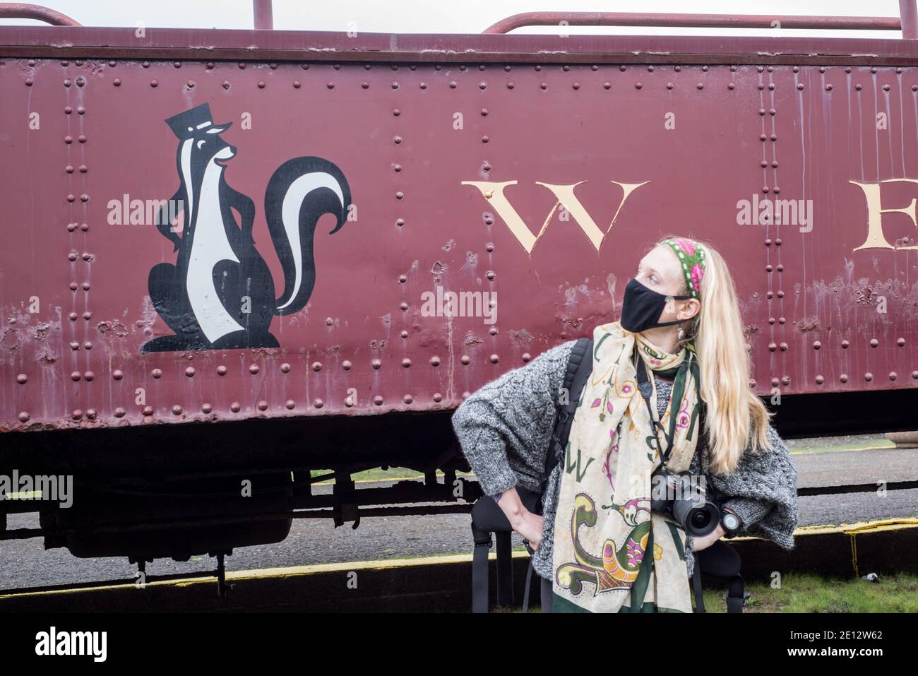 Cartoon skunk hi-res stock photography and images - Alamy