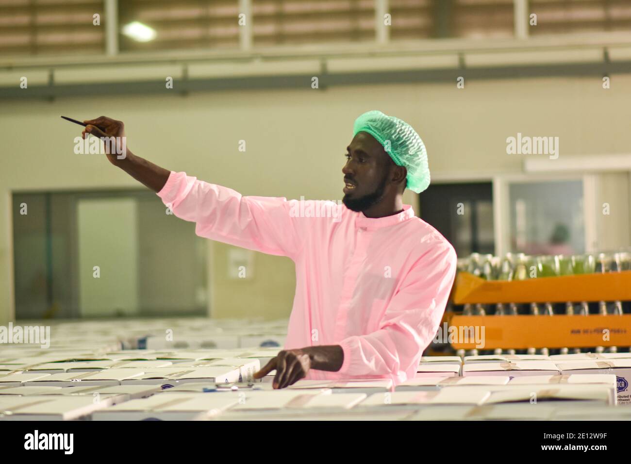 Workers checking product in Export warehouse, Man check beverage ...