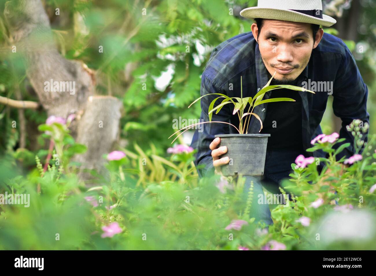 Asian man planting a tree in the garden farm outdoor Stock Photo - Alamy