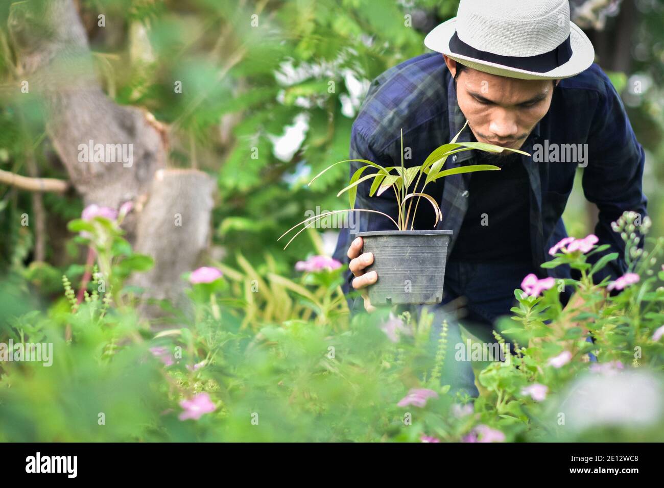 Asian man planting a tree in the garden farm outdoor Stock Photo - Alamy