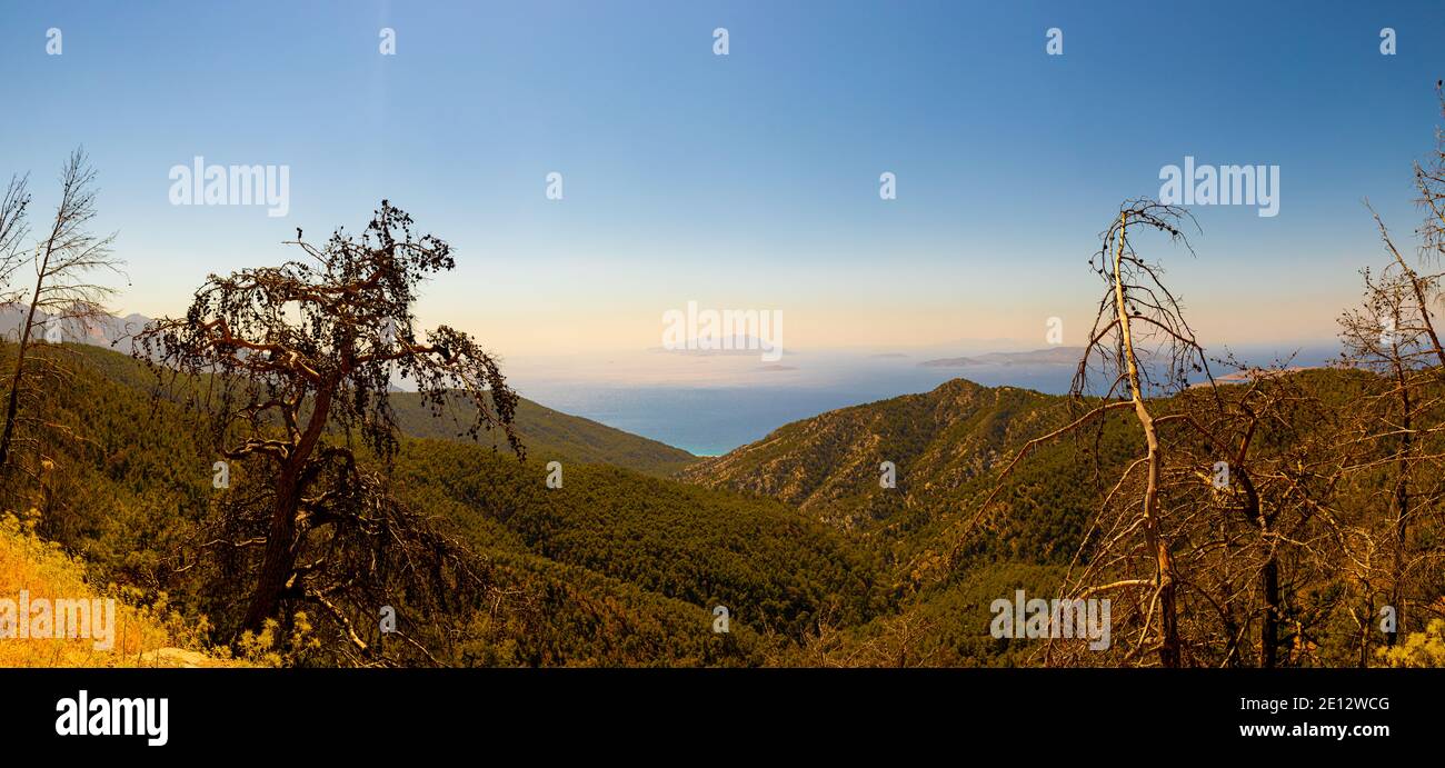 Beautiful Mountainous Landscape With Withered Trees In The Foreground ...
