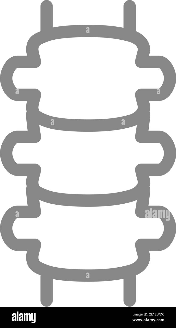 Human spine line icon. Healthy spinal canal symbol Stock Vector Image ...