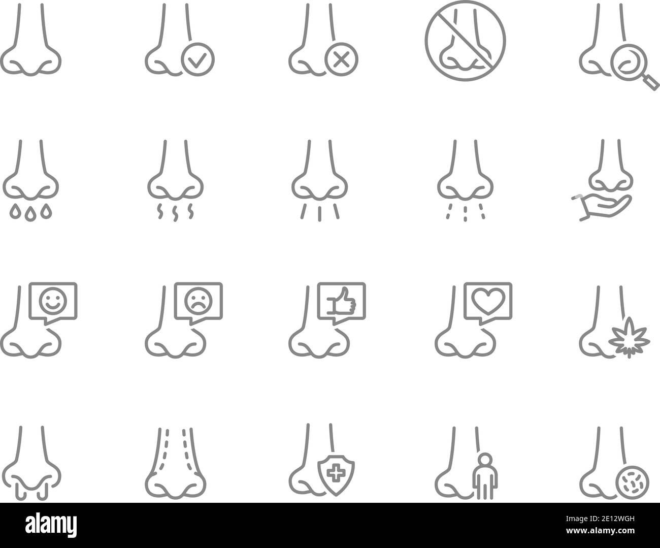 Human Nose Shapes Types