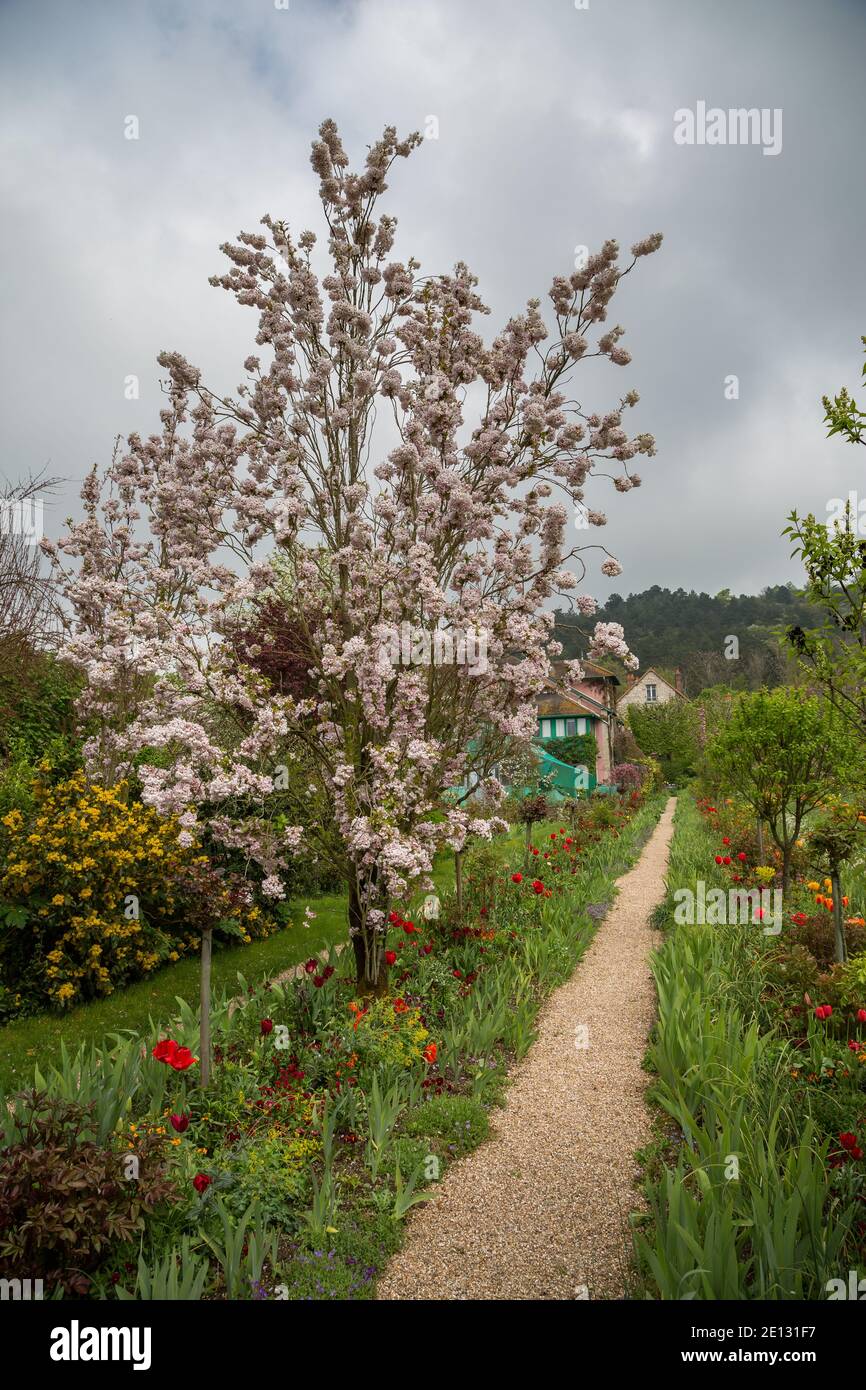 Giverny monet garden cherry hi-res stock photography and images - Alamy