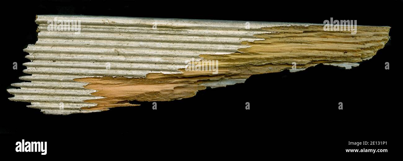 Wood splinter hi-res stock photography and images - Alamy