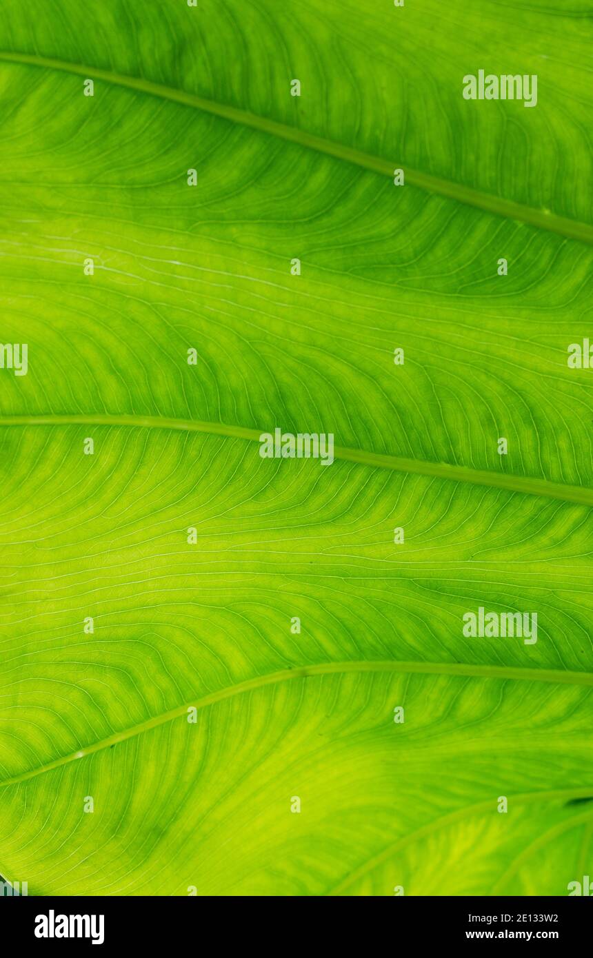 Focus texture hi-res stock photography and images - Alamy