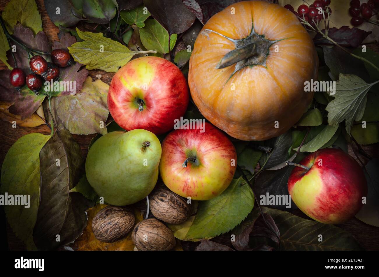 autumn background with fruits and nuts on fall foliage Stock Photo - Alamy