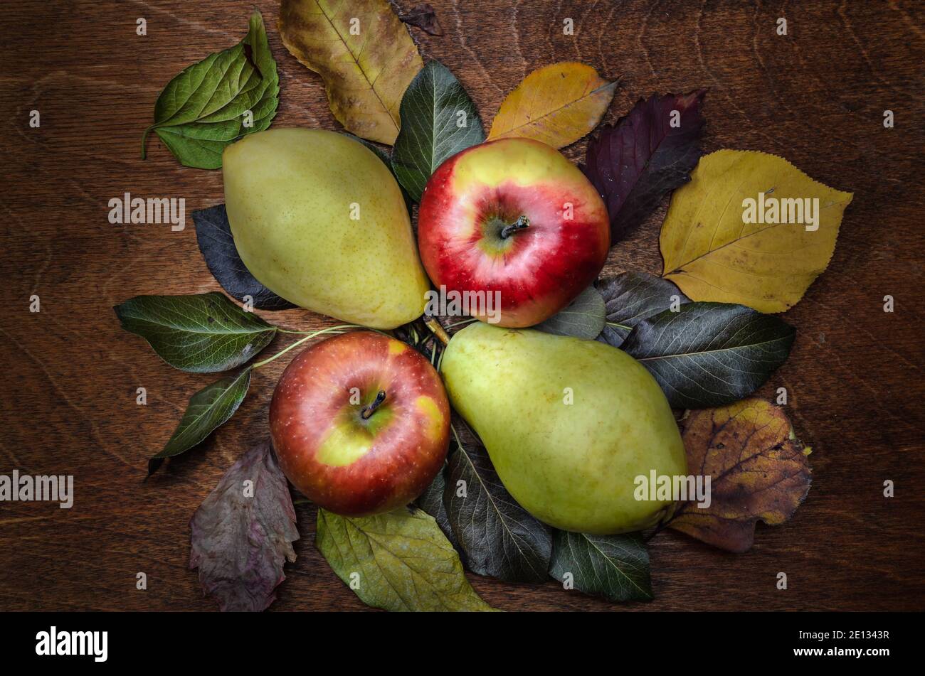 autumn background with fruits and nuts on fall foliage Stock Photo - Alamy