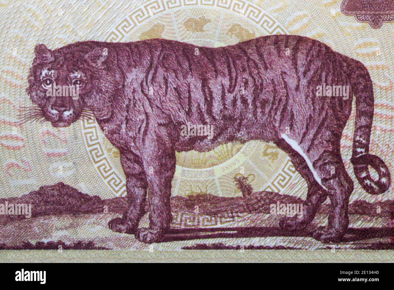 Tiger from Chinese money Stock Photo - Alamy