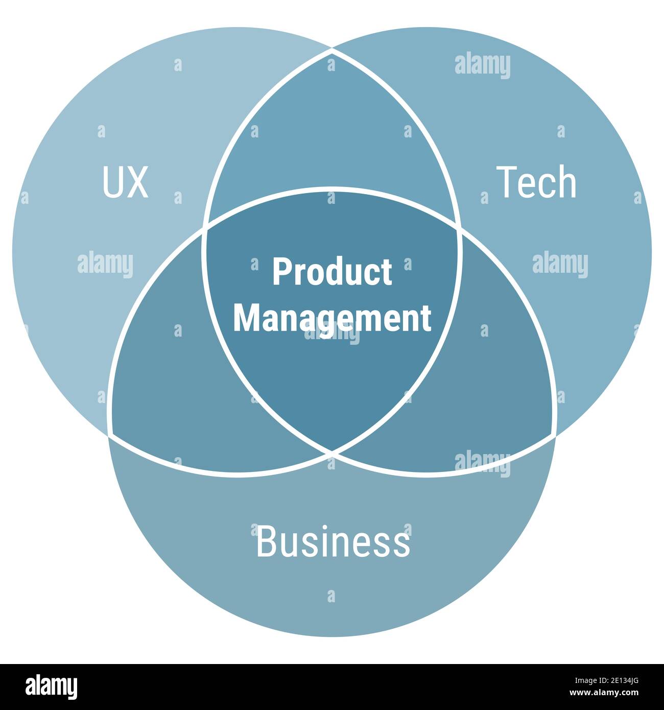 Product management scheme diagram, blue on white background Stock ...