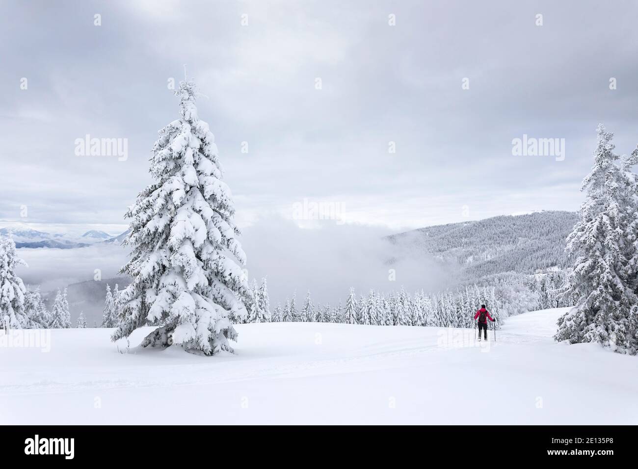 Covered poles hi-res stock photography and images - Alamy