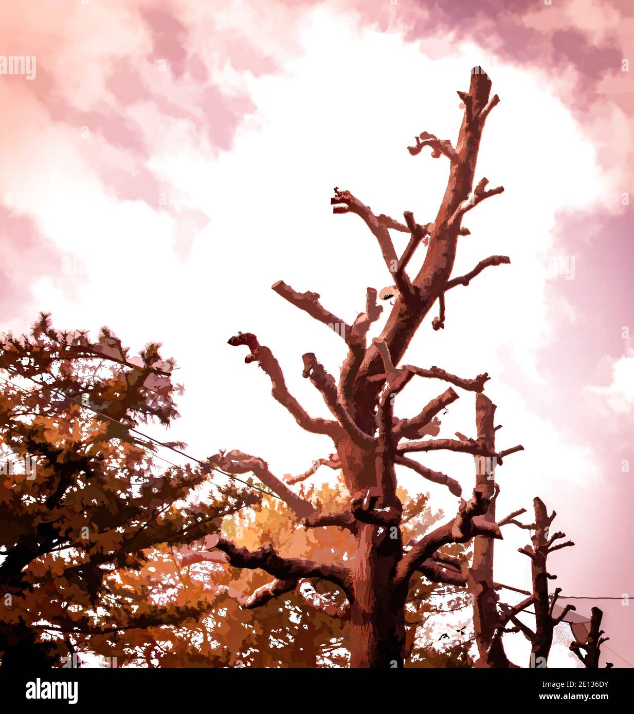 I can't stand the way we treat nature, especially trees, that have ...