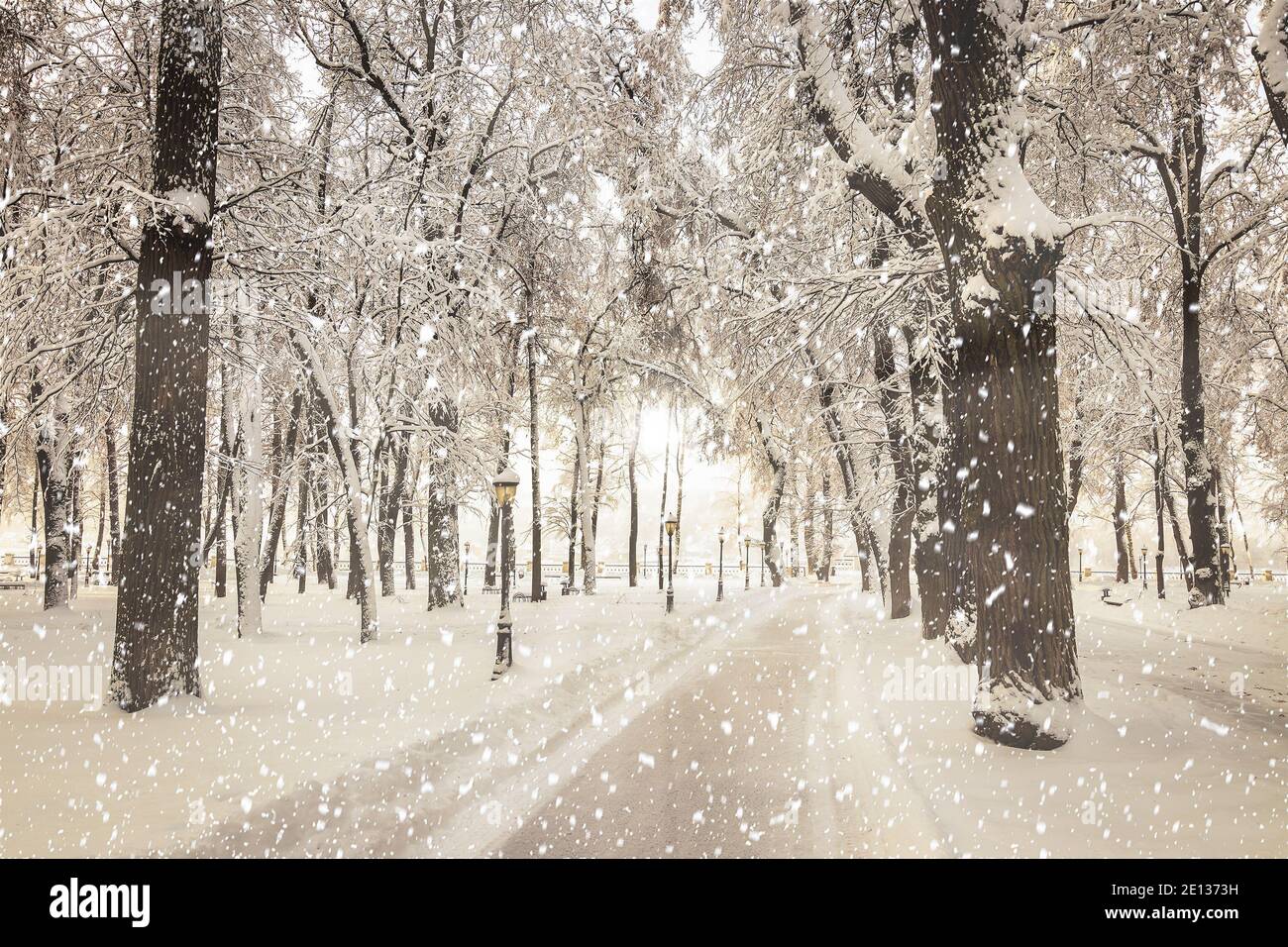 Strong snowfall in winter city park covered with snow on a sunny winter ...