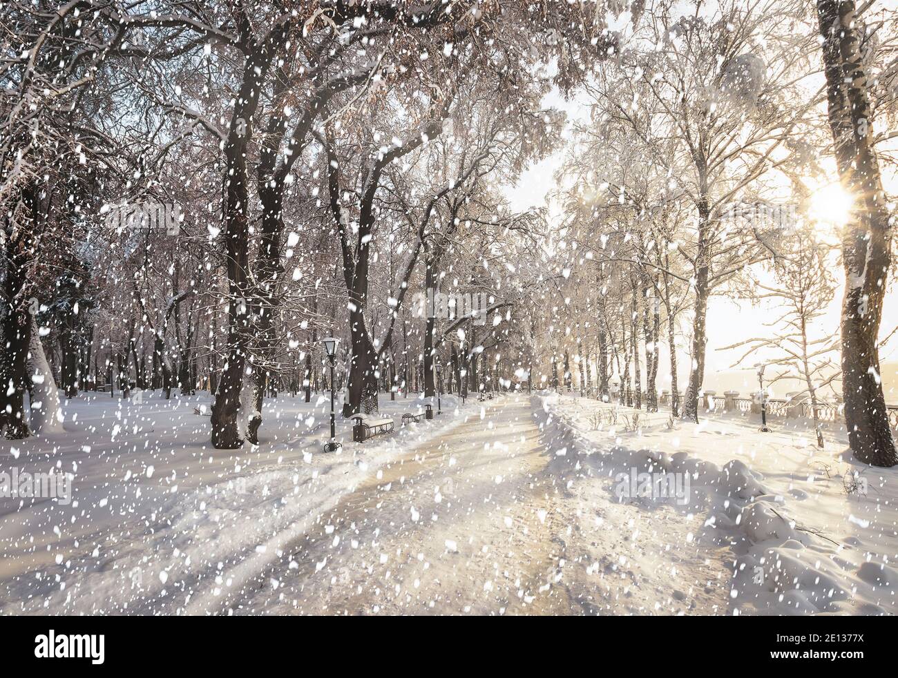 Strong snowfall in winter city park covered with snow on a sunny winter ...