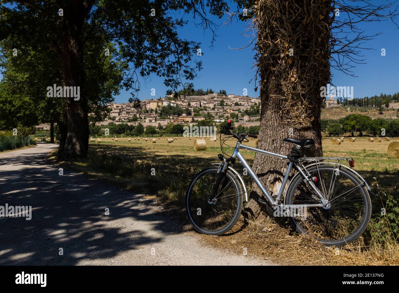 Bike leaning against tree hi-res stock photography and images - Alamy