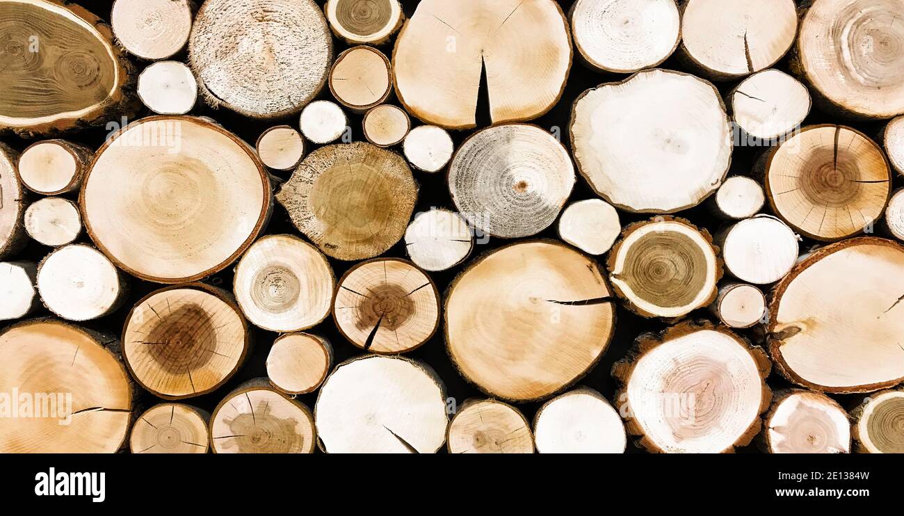 round teak wood stump background. Trees cut section for background ...