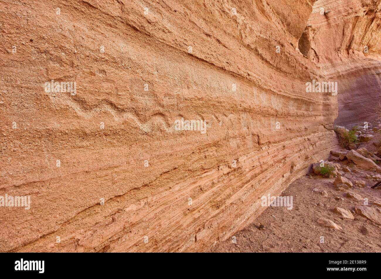 Snake petroglyph at Kasha-Katuwe Tent Rocks National Monument, New ...