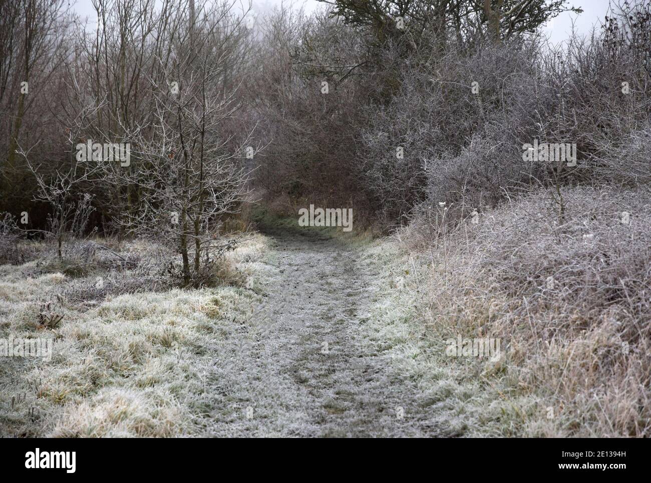 Icey path hi-res stock photography and images - Alamy