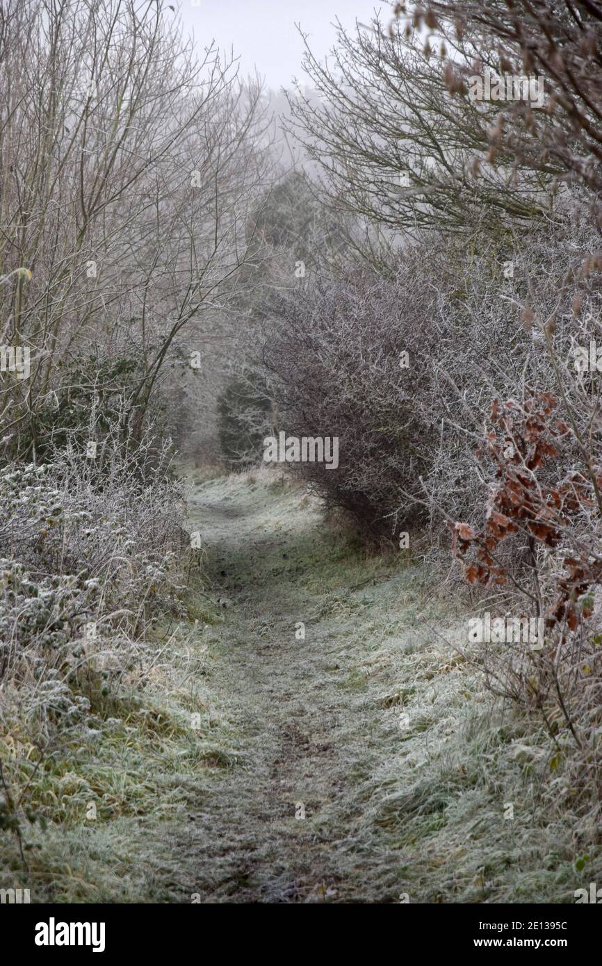 Icey path hi-res stock photography and images - Alamy