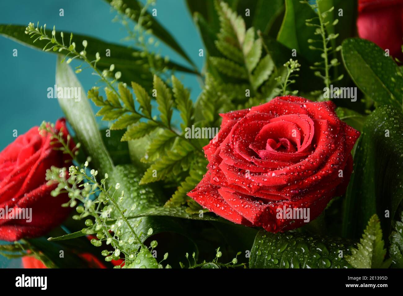 Red roses bouquet for valentine day. Love theme. Close up Stock Photo ...