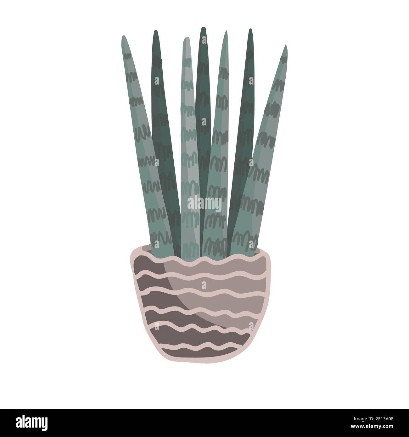 Indoor plant sansevieria in Stock Vector Images - Alamy