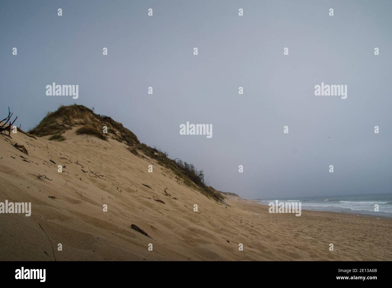 Sand dunes with vegetation on the beach, on a foggy grey day Stock ...