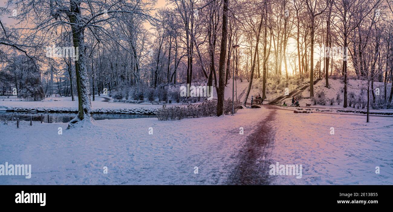 Snow Forest Facebook Covers