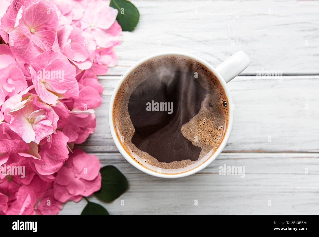 Beautiful hydrangea flowers hi-res stock photography and images - Alamy