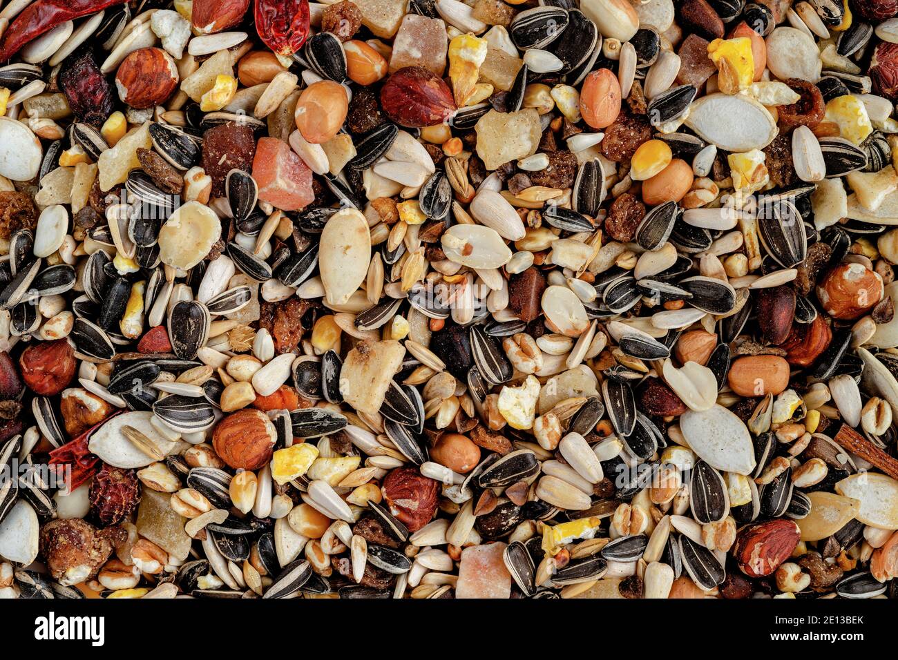 Parrot fodder background of dried fruits, nuts and seed mix. Healthy ...