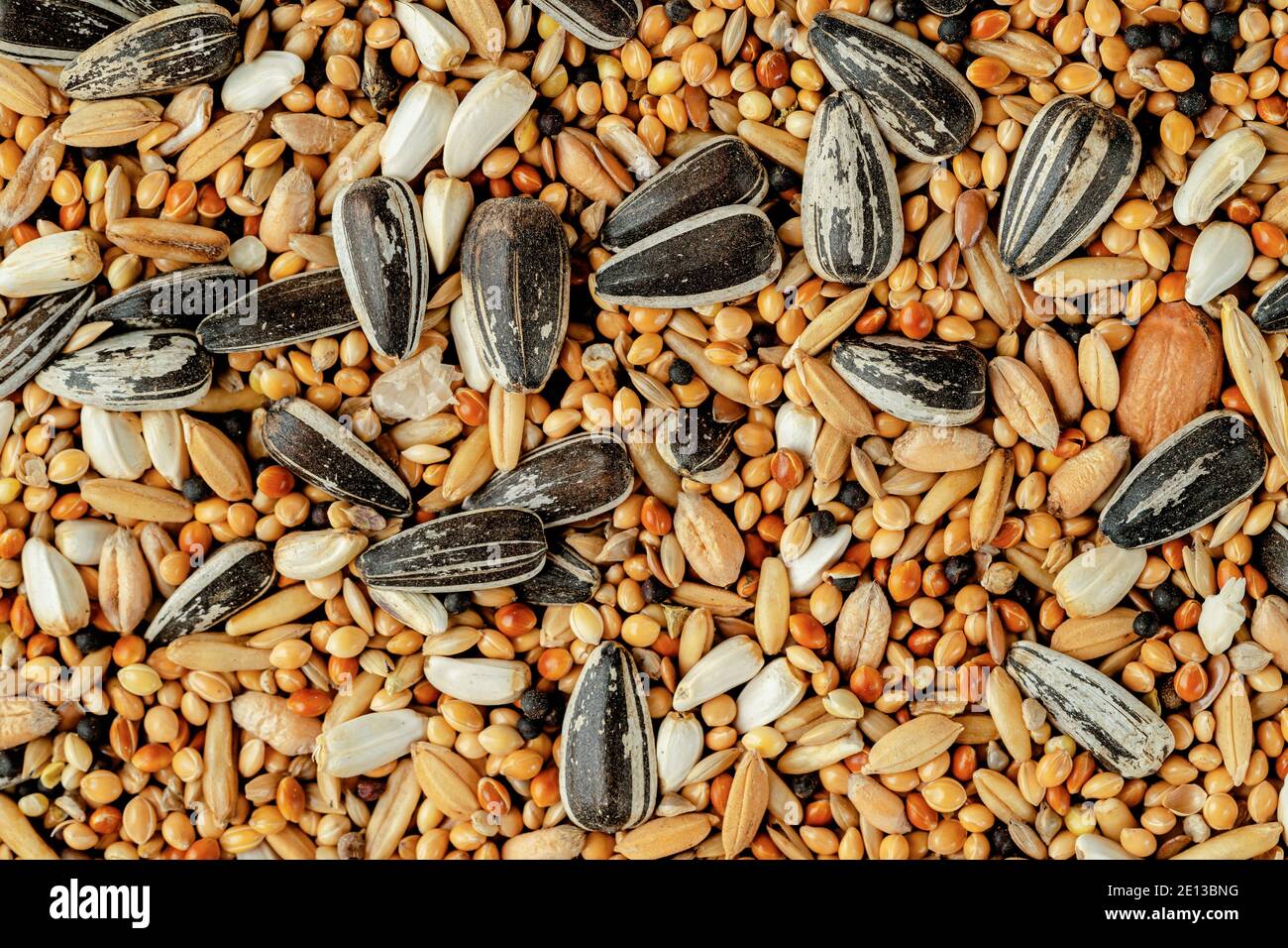 Close up of parrot fodder seed mix background. Pet care and healthy ...