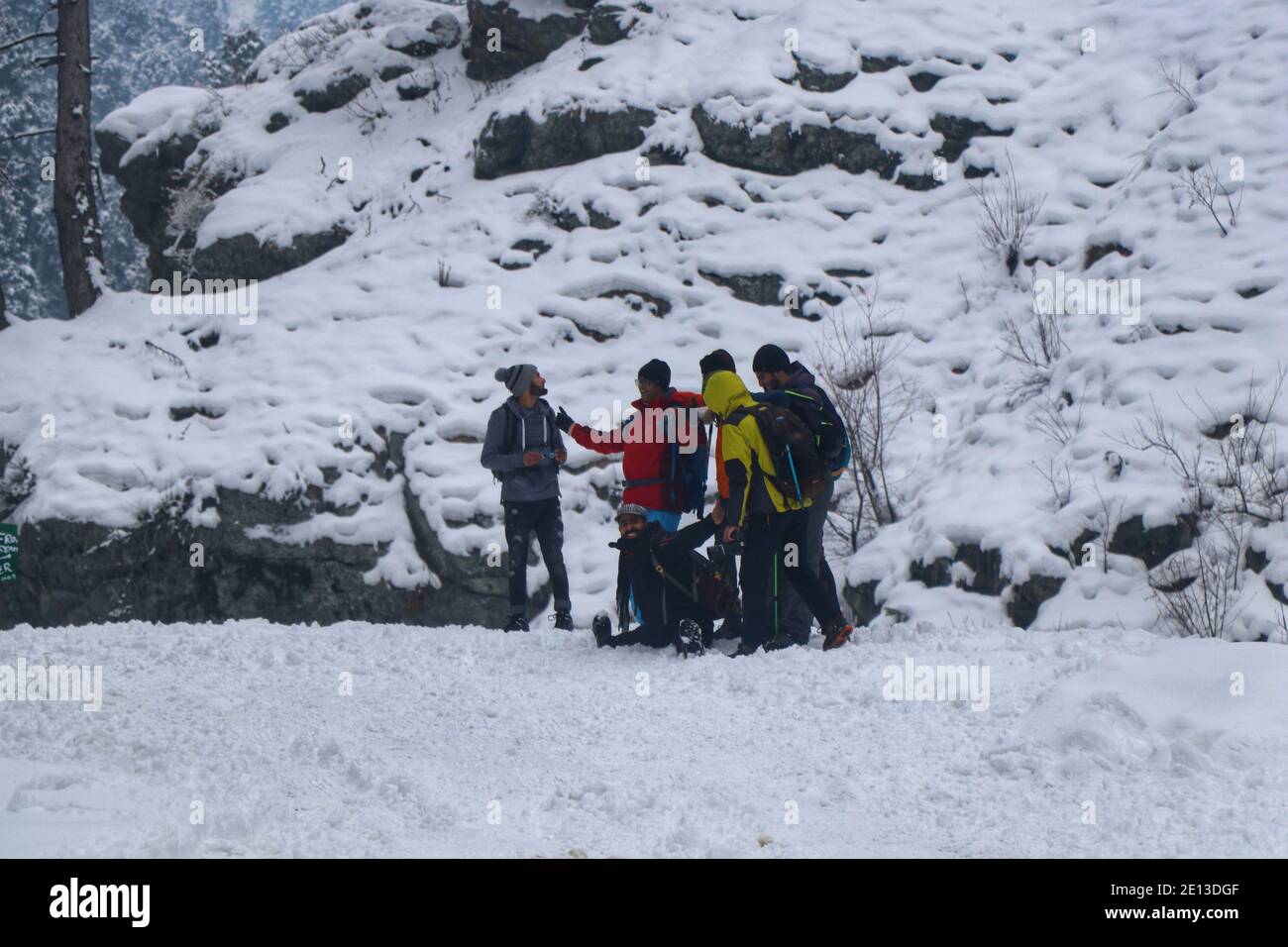 Poding hi-res stock photography and images - Alamy