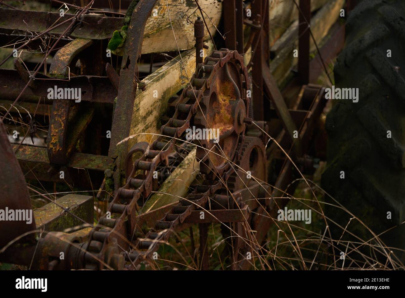 Old farming machinery in field, 1950s Muck spreader Stock Photo - Alamy