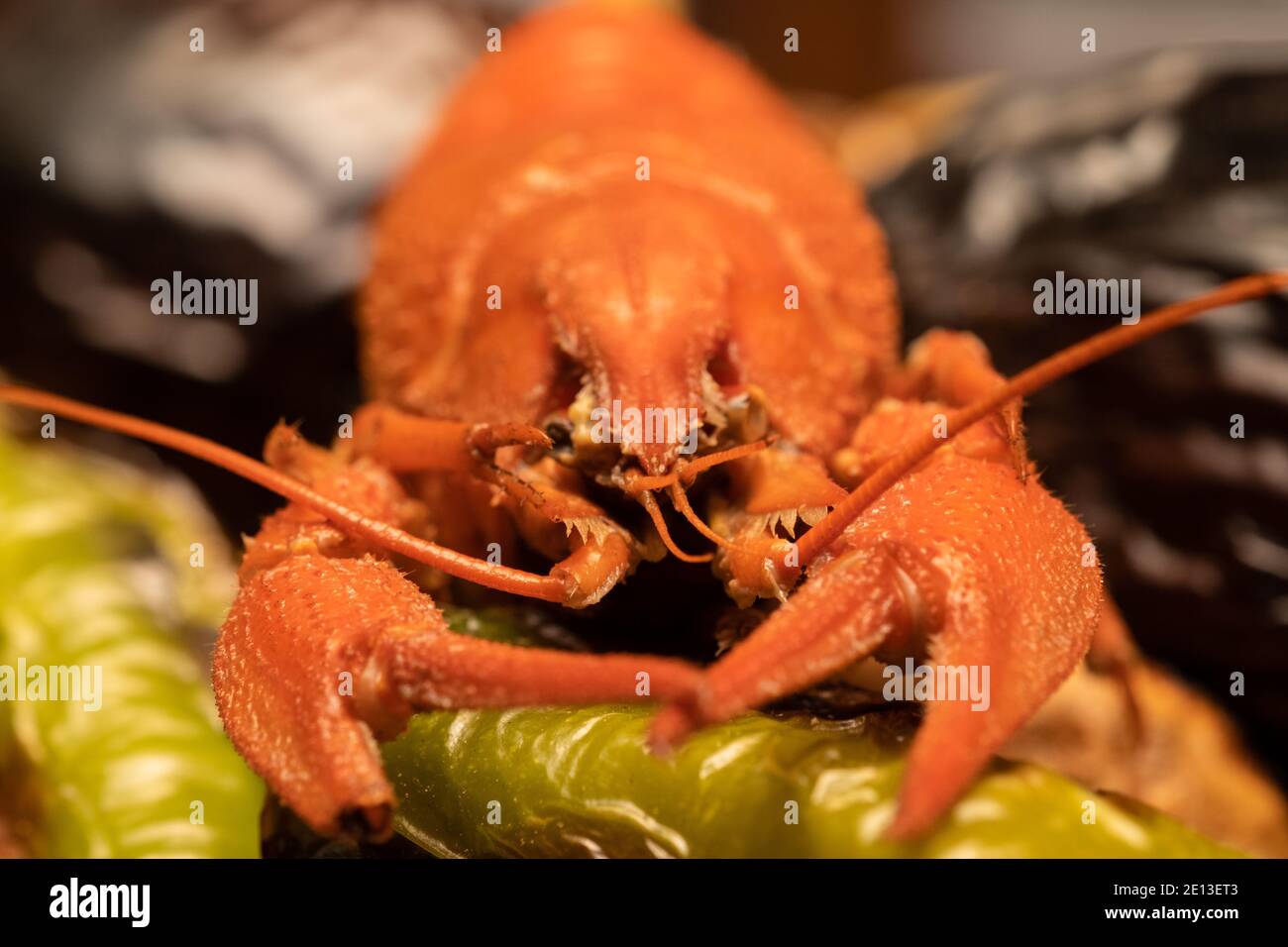 Red boiled cancer on green pepper Stock Photo - Alamy