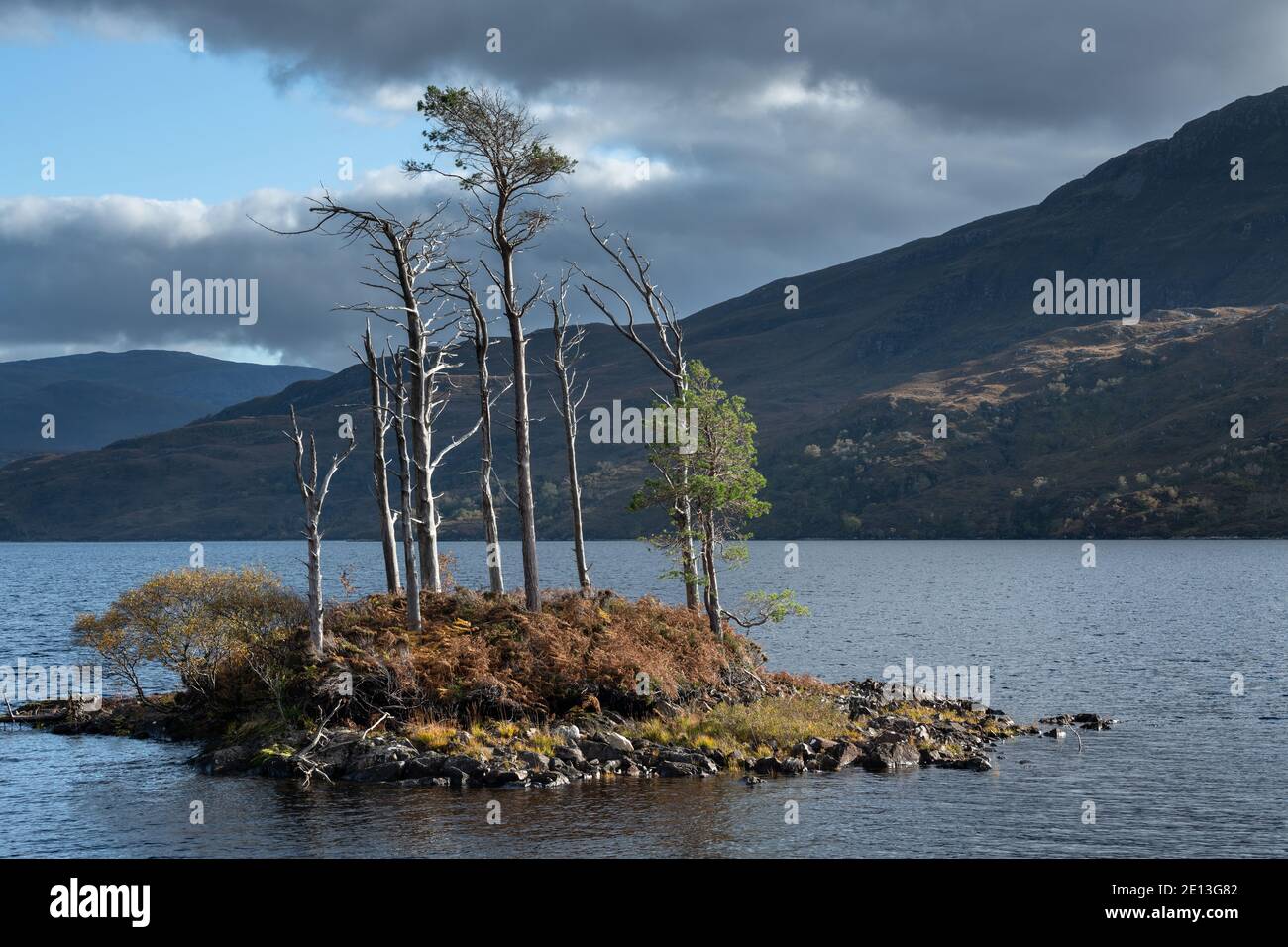 Loch Assynt Island and trees Stock Photo - Alamy