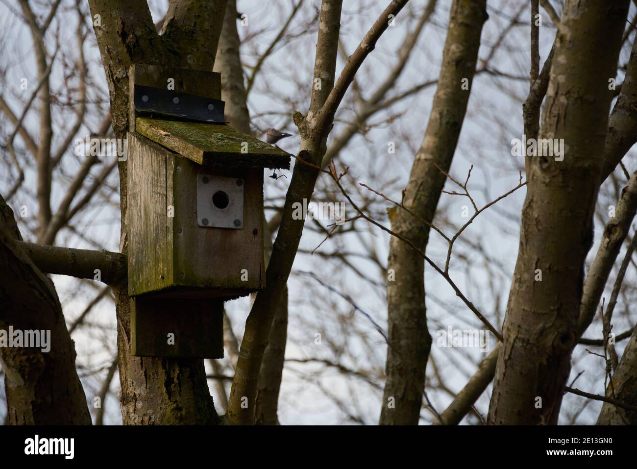 Rsbp reserve hi-res stock photography and images - Alamy