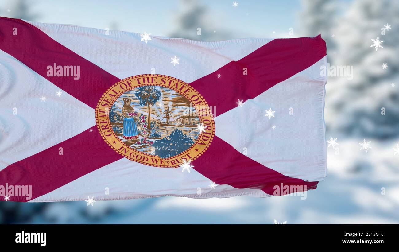 Florida winter snowflakes flag background. United States of America. 3d ...
