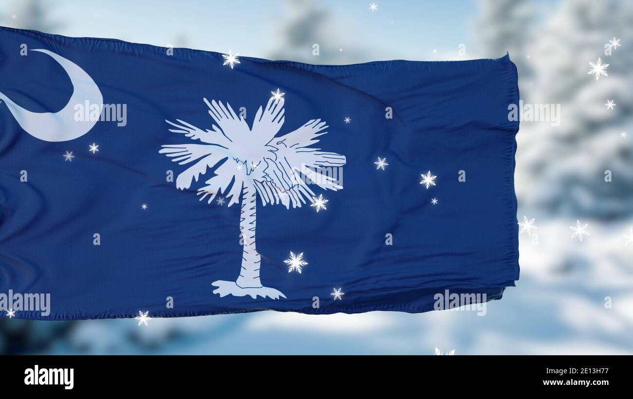 South Carolina winter snowflakes flag background. United States of ...