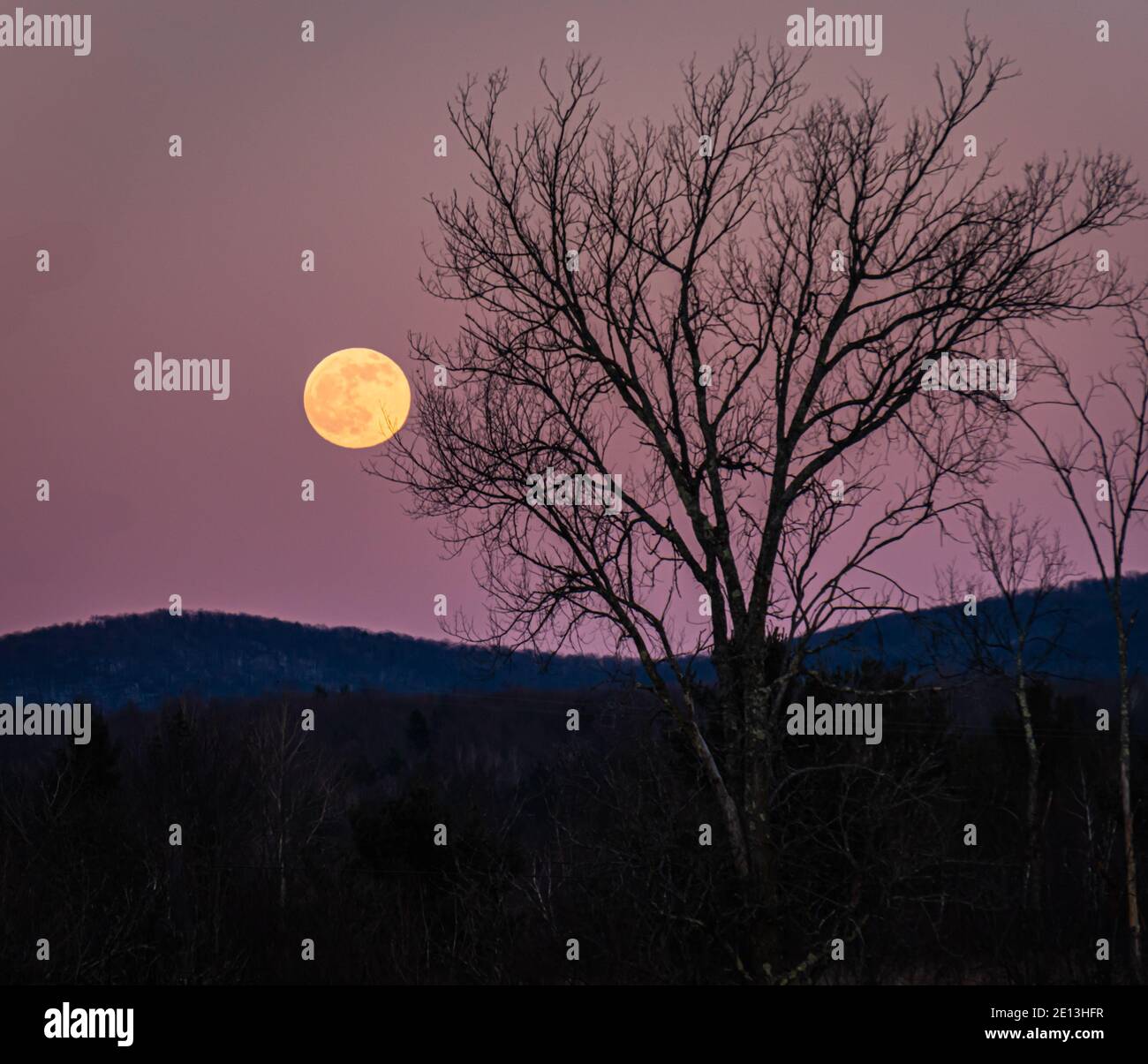 Full moon landscape trees hi-res stock photography and images - Alamy