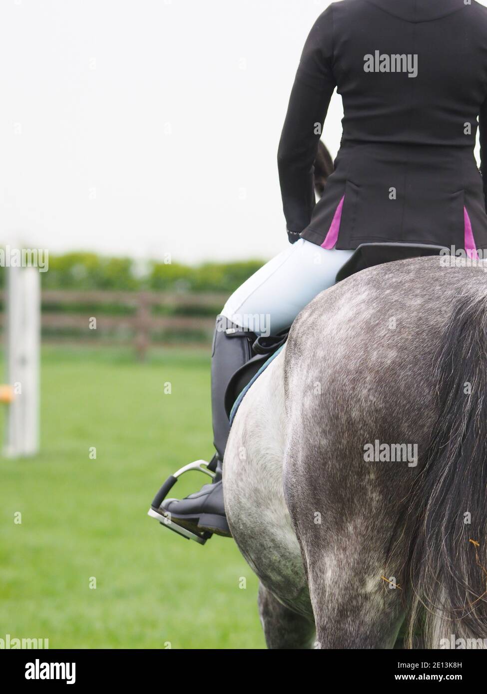A close up of the back of a grey horse and rider Stock Photo - Alamy